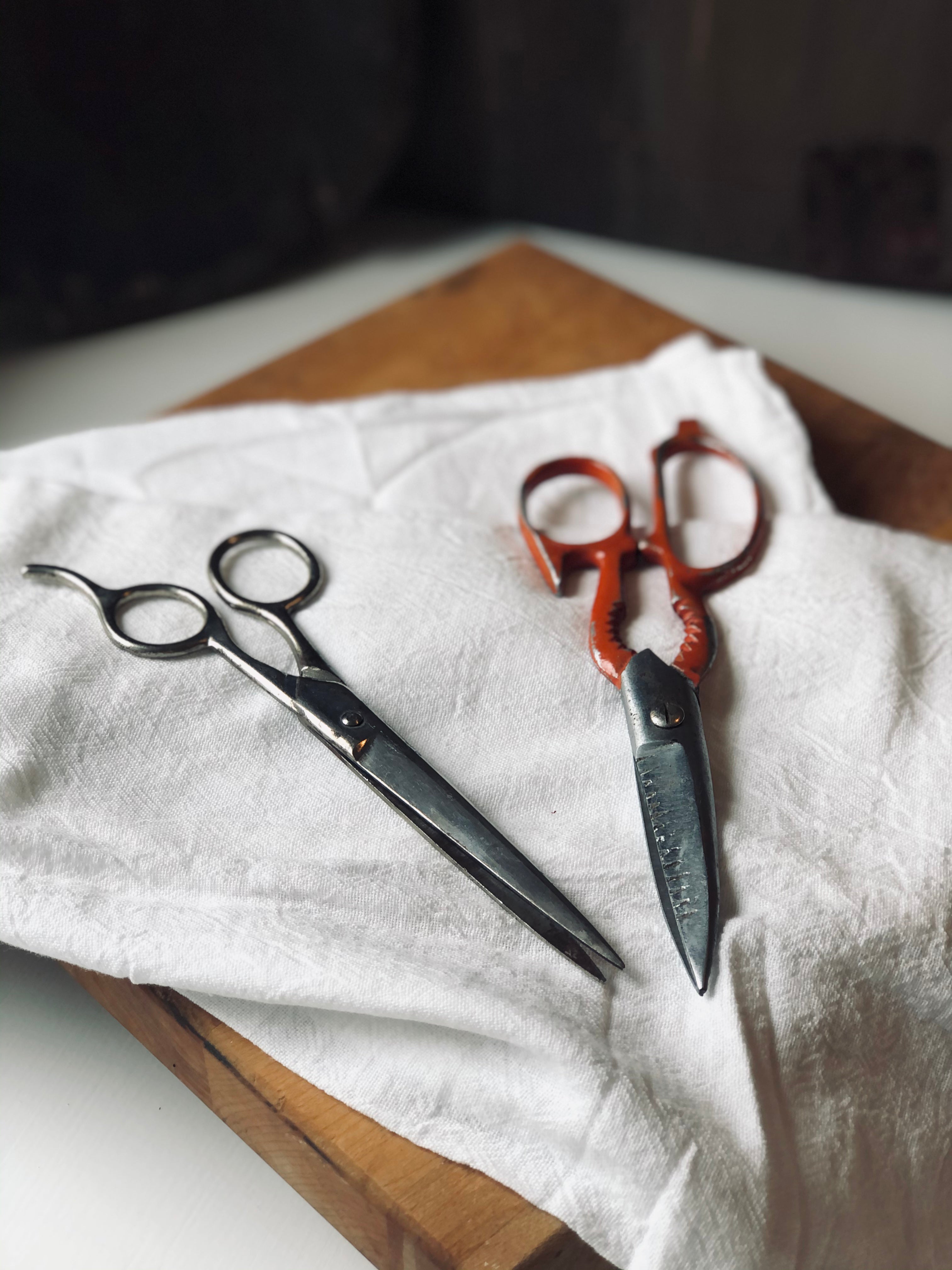 Antique Forged Steel Scissors – The Vintage Abode